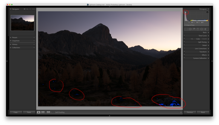 Mastering the Histogram: An Essential for Better Photography