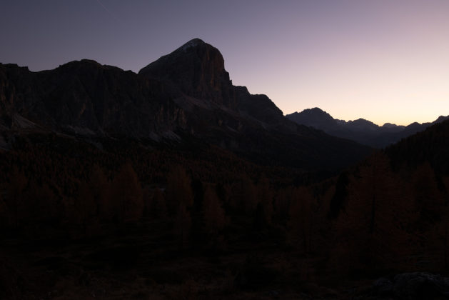 Mastering the Histogram: An Essential for Better Photography