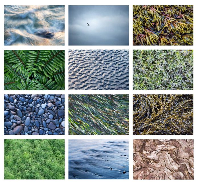 4 Tips for Photographing Nature’s Smaller Scenes - CaptureLandscapes