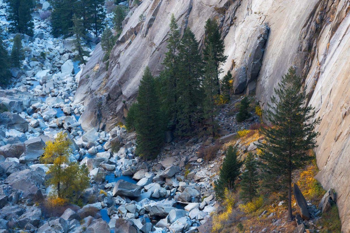 4 Tips for Photographing Nature’s Smaller Scenes - CaptureLandscapes