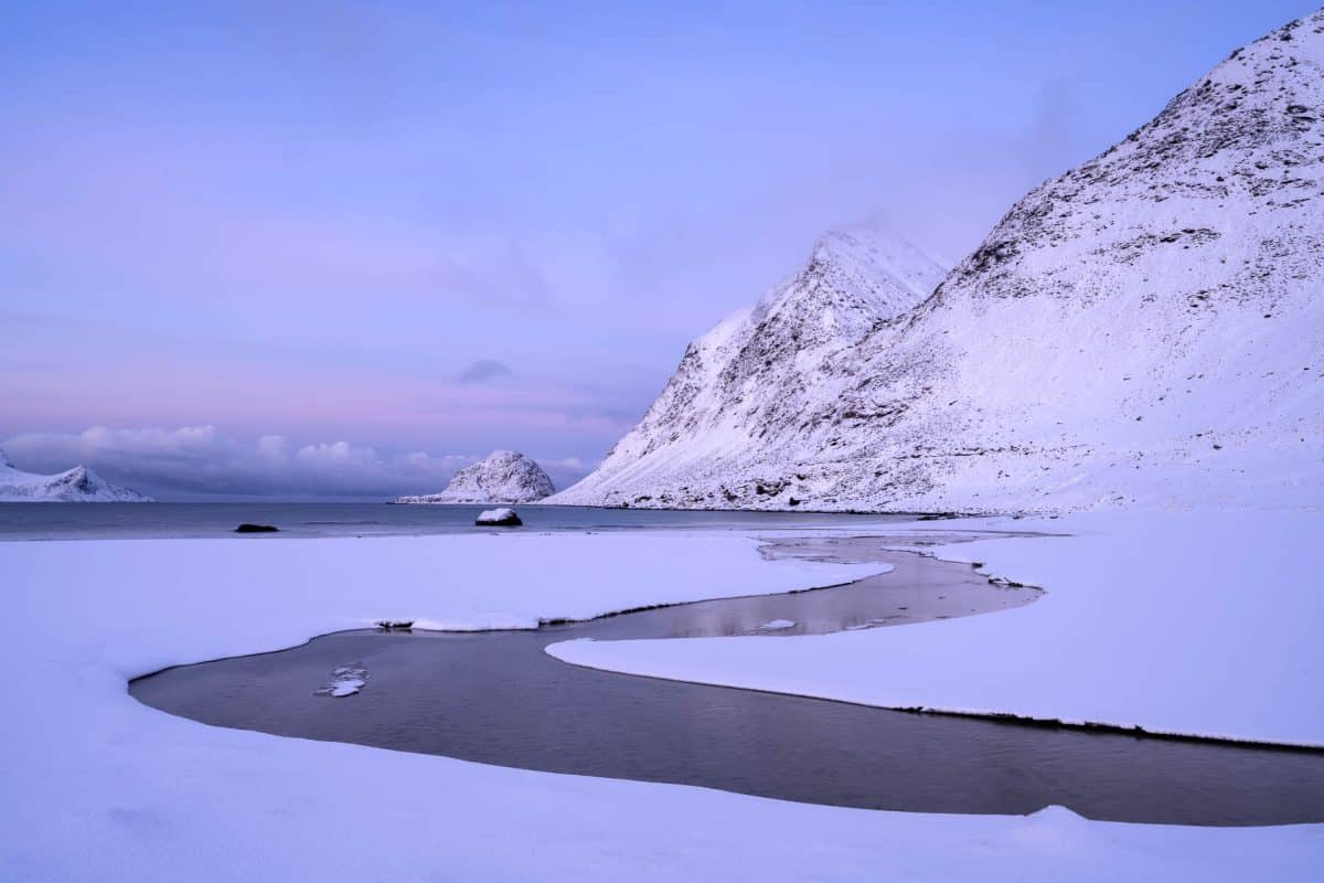 What is Live View in Photography? (And Why it Matters) - CaptureLandscapes