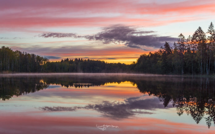 The Touching Story of a Young Autistic Landscape Photographer ...
