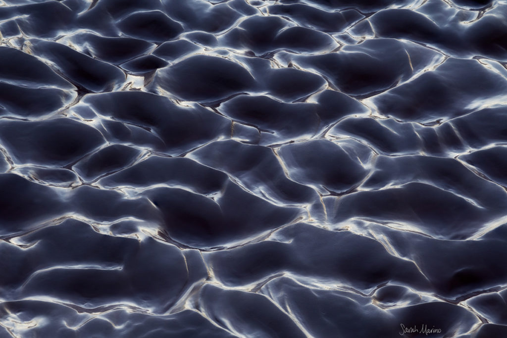 Photographer of the Month: Sarah Marino - CaptureLandscapes