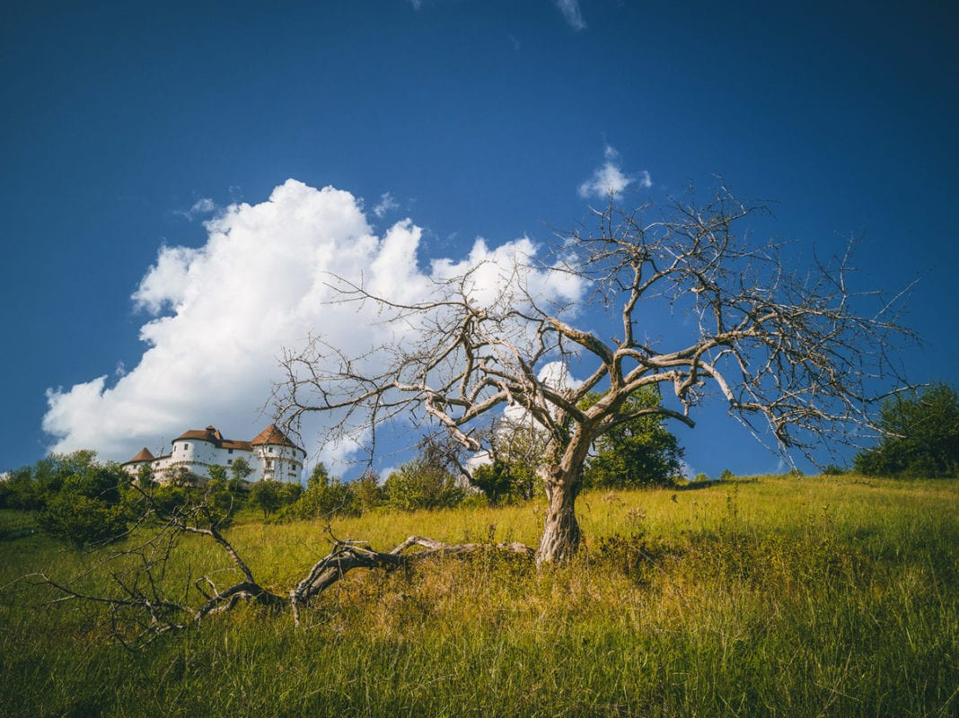 The Ultimate Guide to Smartphone Photography - CaptureLandscapes
