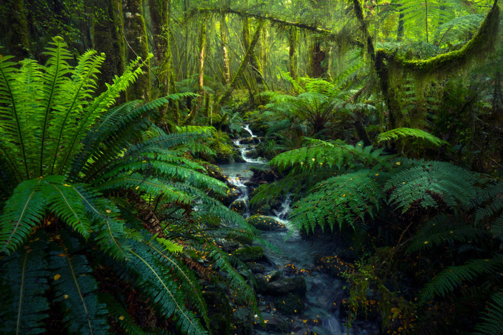Photographer of the Month: William Patino - CaptureLandscapes