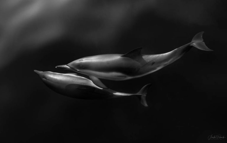 Photographer of the Month: Jennifer Renwick - CaptureLandscapes
