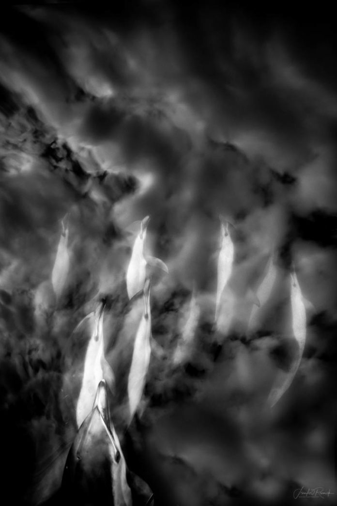 Photographer of the Month: Jennifer Renwick - CaptureLandscapes