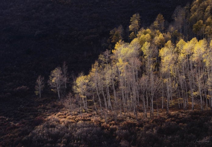 Photographer of the Month: Jennifer Renwick - CaptureLandscapes