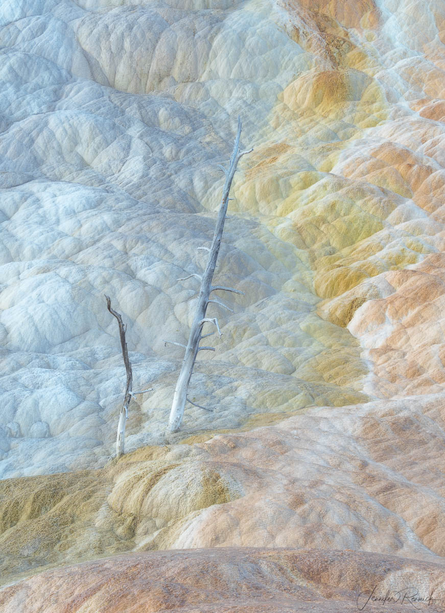 Photographer of the Month: Jennifer Renwick - CaptureLandscapes