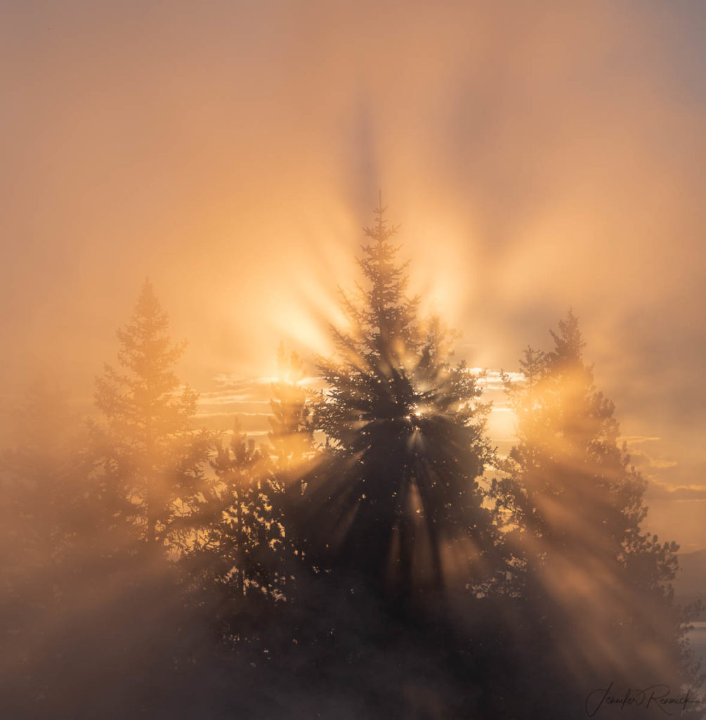 Photographer of the Month: Jennifer Renwick - CaptureLandscapes
