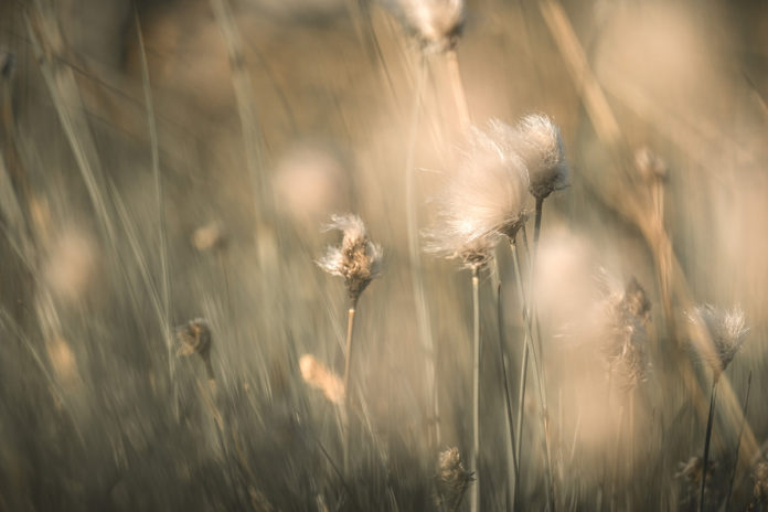 How to Create More Impactful Images - CaptureLandscapes