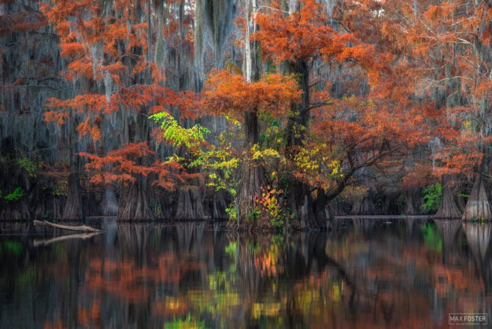 Photographer of the Month: Max Foster - CaptureLandscapes