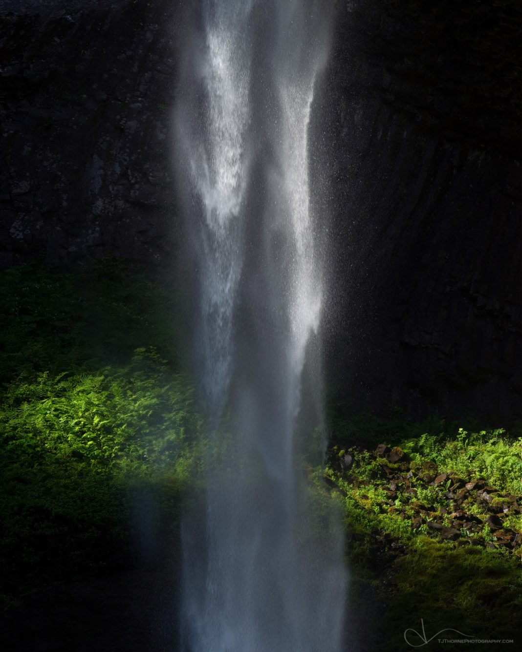 5 Professional Tips for Photographing Harsh Light - CaptureLandscapes