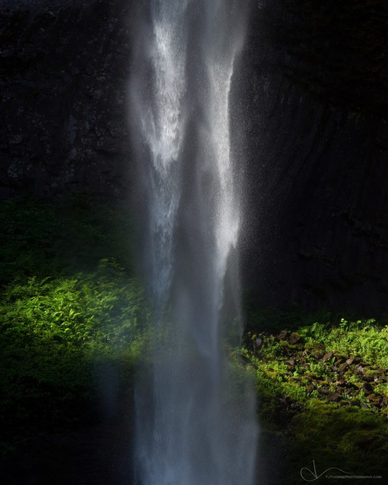 5 Professional Tips for Photographing Harsh Light - CaptureLandscapes