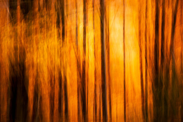 Mastering White Balance in Photography: How to Get Perfect Colors ...