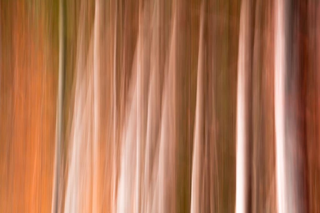 What is ICM Photography? (And How to Master It) - CaptureLandscapes