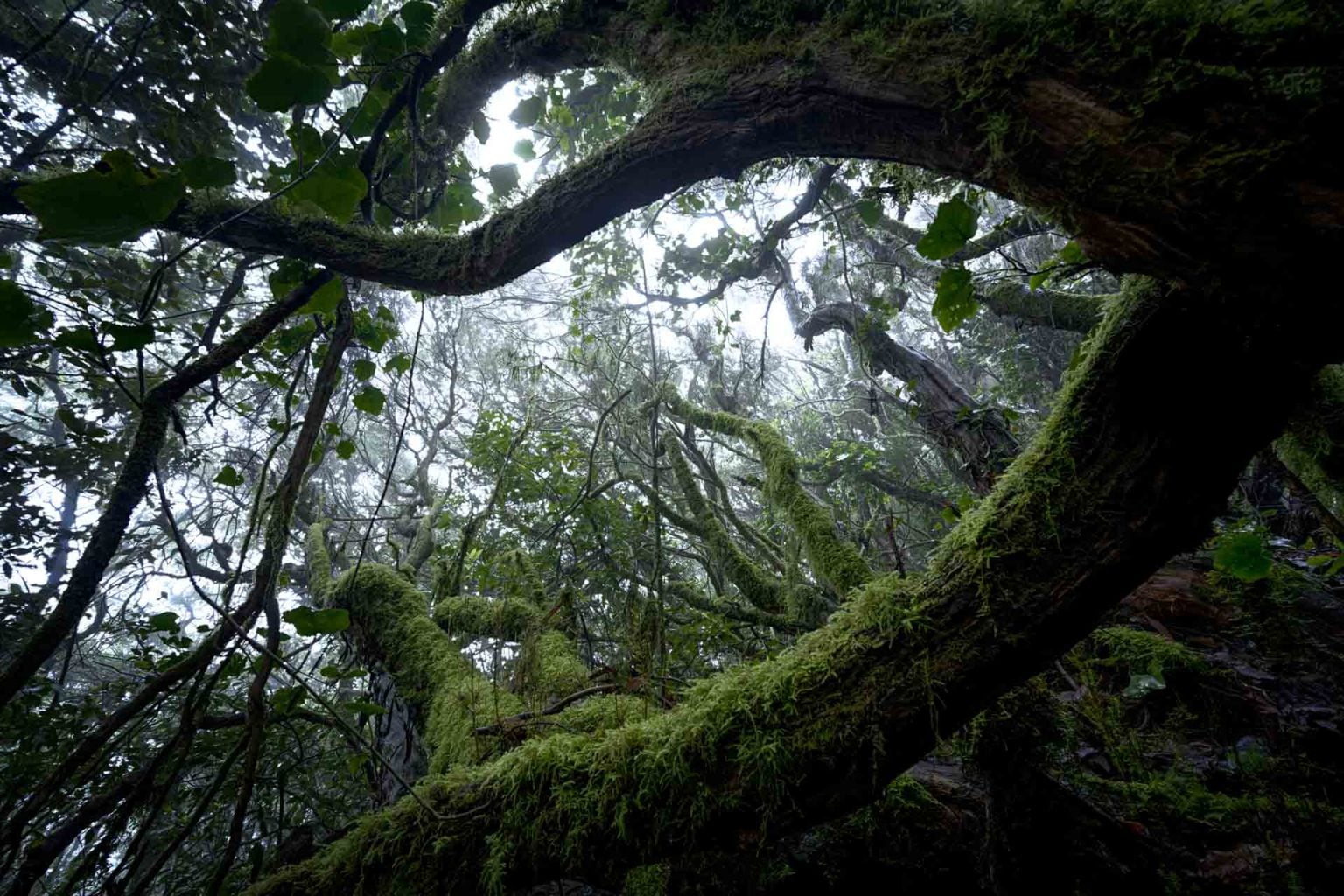 What Makes a Great Photo? 6 Creative Building Blocks Explained