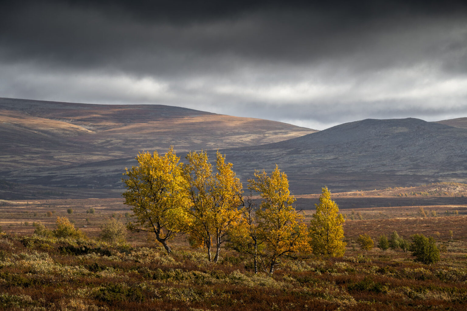 Autumn Photography: Tips to Photographing the Colors of Autumn
