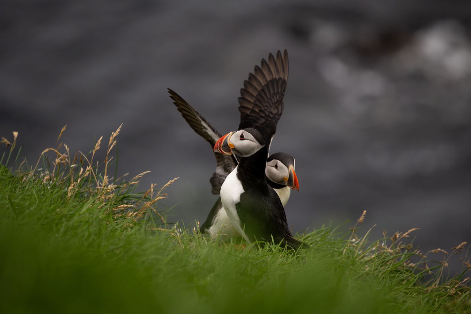 Noise Reduction in Photography: In Field & Post-Processing ...