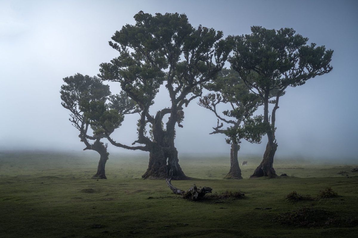 Composition in Landscape Photography: The Complete Guide ...