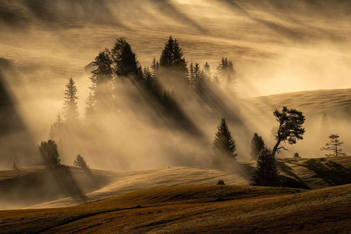 Fog Photography Tips: How to Capture Stunning Misty Landscapes ...