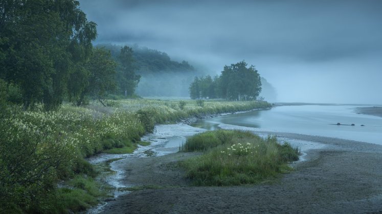 Fog Photography Tips: How to Capture Stunning Misty Landscapes ...