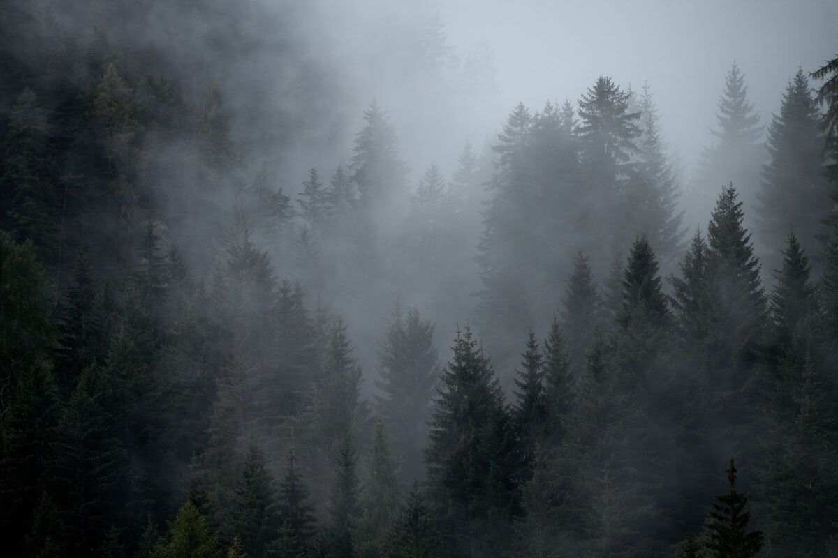 Fog Photography Tips: How to Capture Stunning Misty Landscapes ...